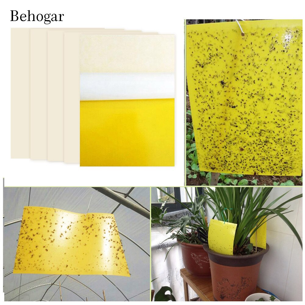 Behogar 5pcs 15*20CM Dual Sided Sticky Traps Board for Outdoor Indoor ...