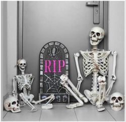 Reviews :: Skeleton Halloween Party Decoration Poseable Skull Lifelike ...